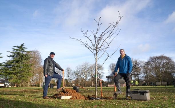 4,000 free trees available for residents as part of 'Your Tree Our ...
